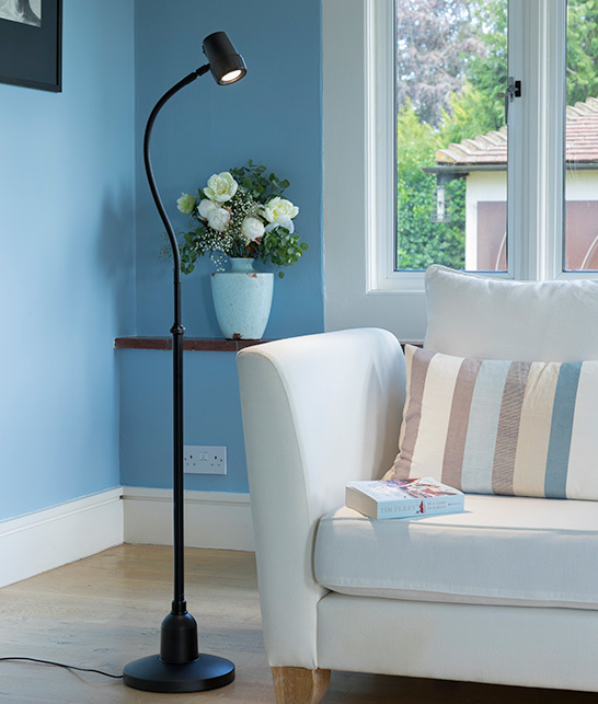 Alex Floor Light: Efficient Reading Light | Serious Readers